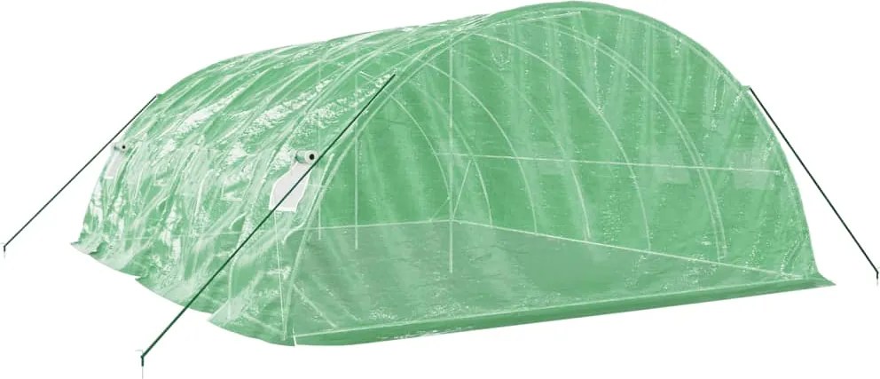 Skleník s ocelovým rámem zelený 30 m² 6 x 5 x 2,3 m 3188084