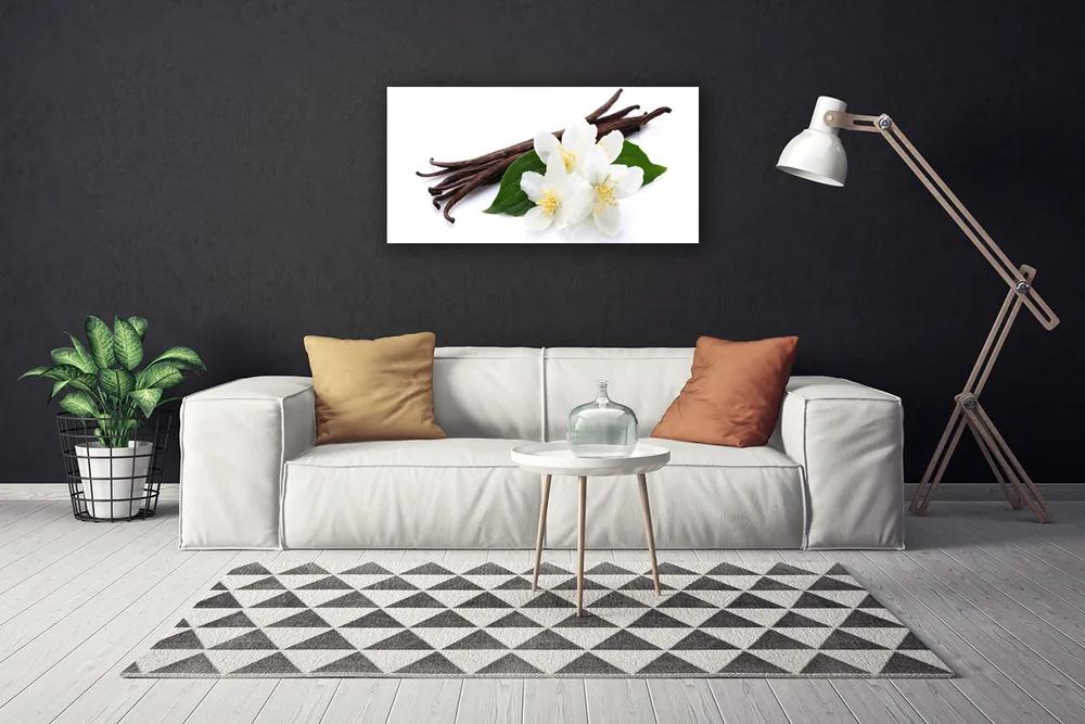 Obraz na plátně Tyčinka Vanilky do Kuchyně 120x60 cm