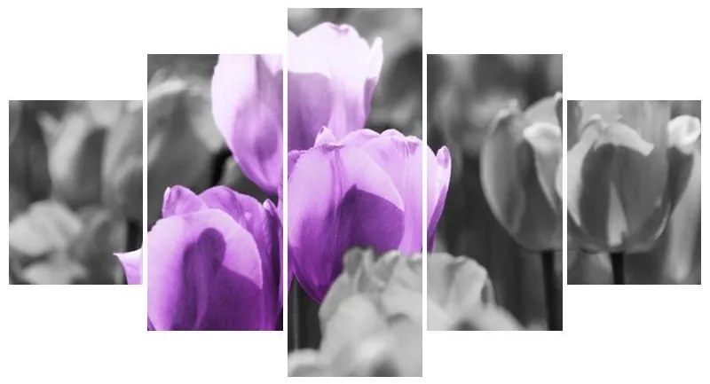 Obraz tří fialových květů  (150x80 cm), 40 dalších rozměrů
