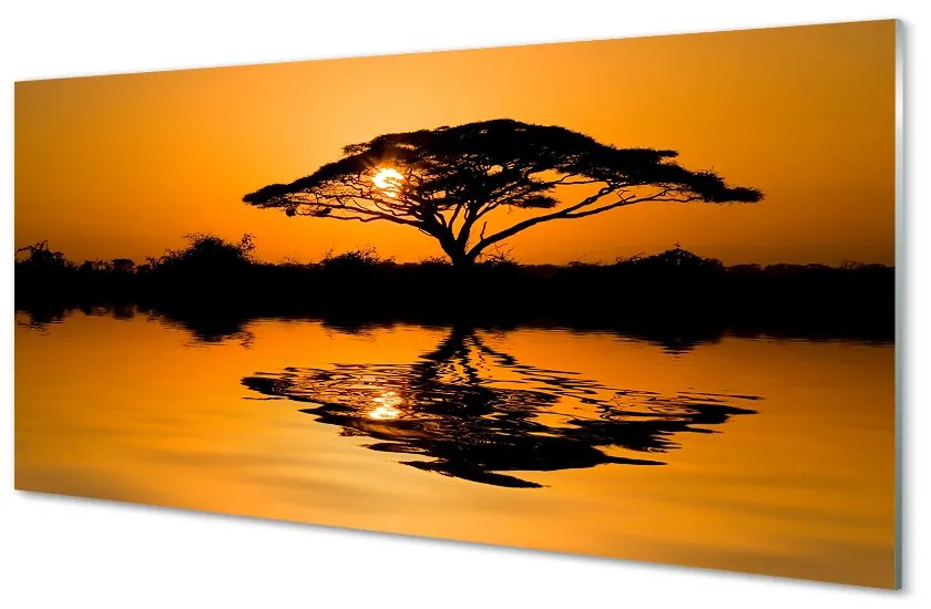 Obraz na skle Sunset tree 100x50 cm