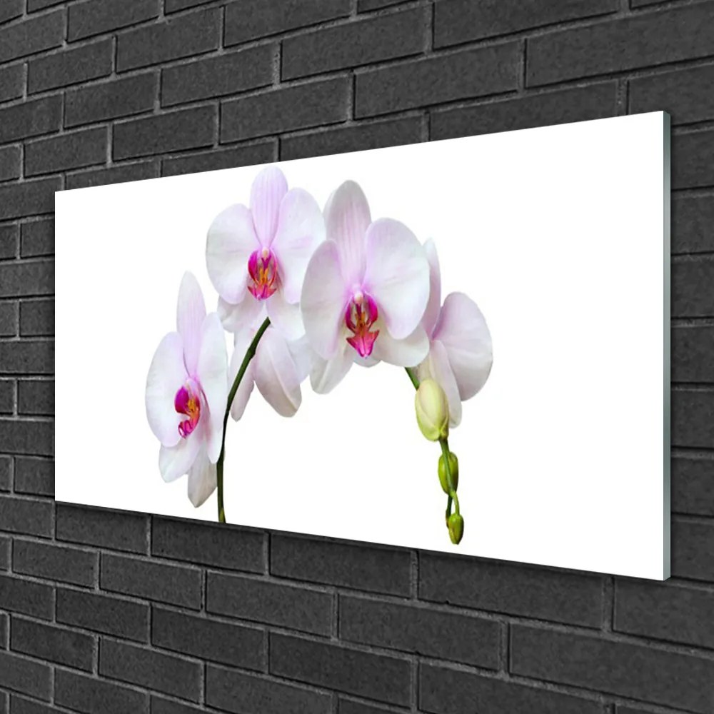 Obraz na skle Vstavač Orchidej Květiny 120x60 cm