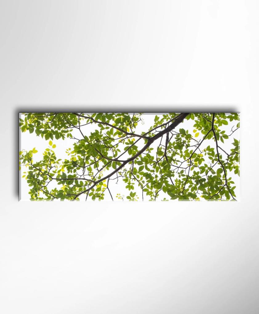 Malvis ® Obraz větev stromu ROZMĚR (šířka x výška): pětidílný obdélník 200x90 cm