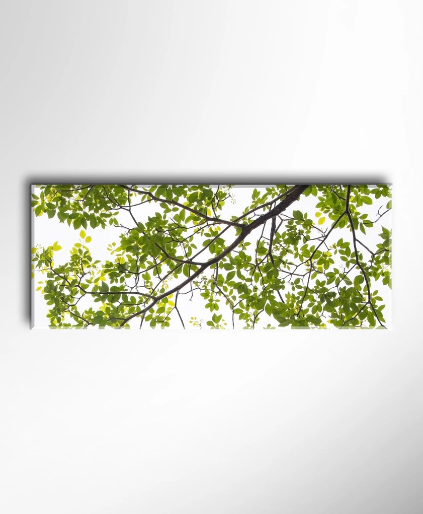 Malvis ® Obraz větev stromu ROZMĚR (šířka x výška): třídílný obdélník 90x60 cm