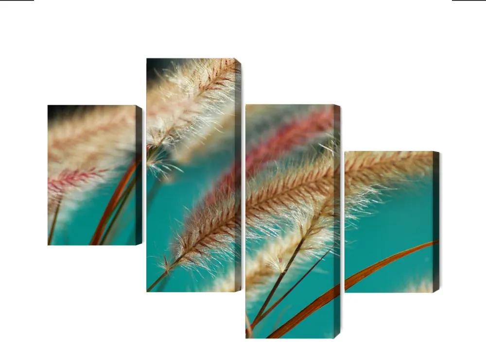 Vícedílný obraz Rostliny V Makro Měřítku Nedostatek Nedostatek Plátno Canvas 80x50