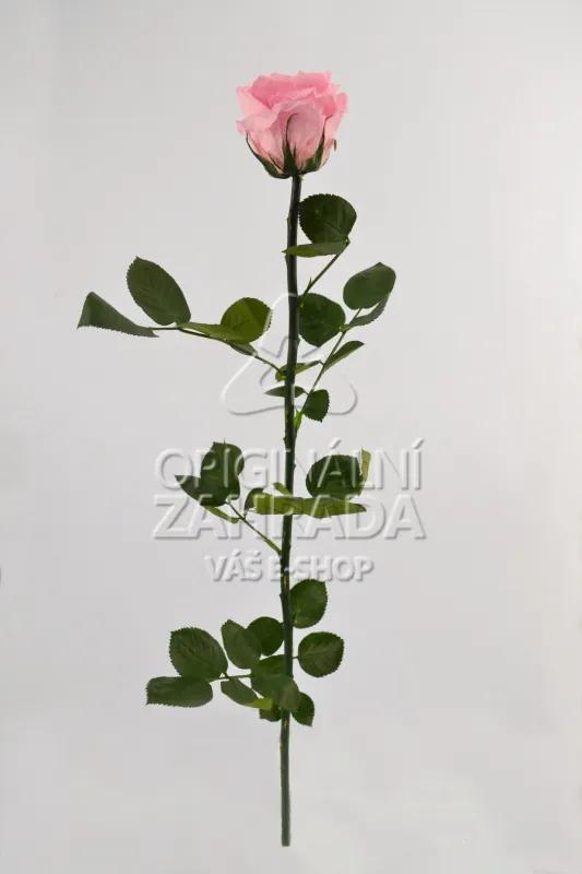 Stabilizovaná růže - světle růžová