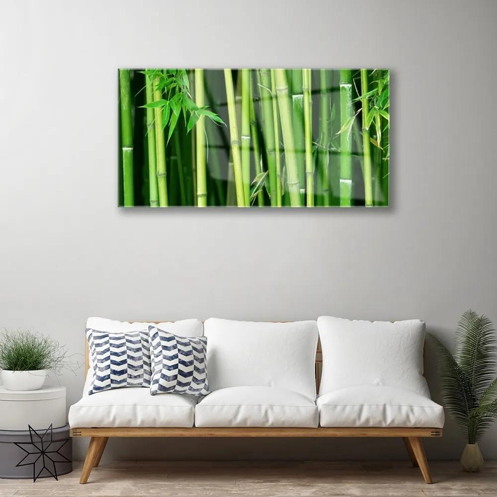 Obraz na skle Bambusový Les Bambus Příroda 100x50 cm