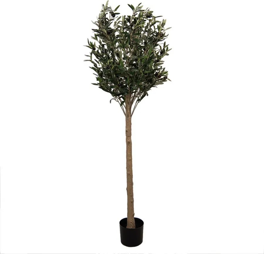 Dekorace umělý stromek olivovník s olivami Olea Tree - 50*50*165 cm