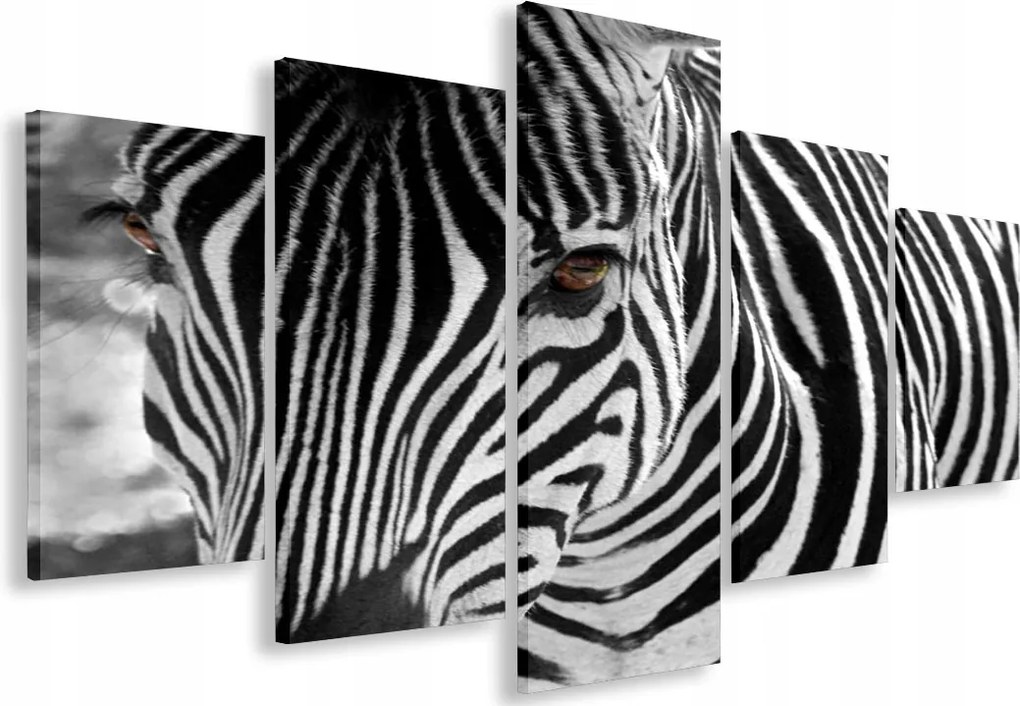 Obraz Do Obývacího Pokoje Zebra 200x120 Obrovský