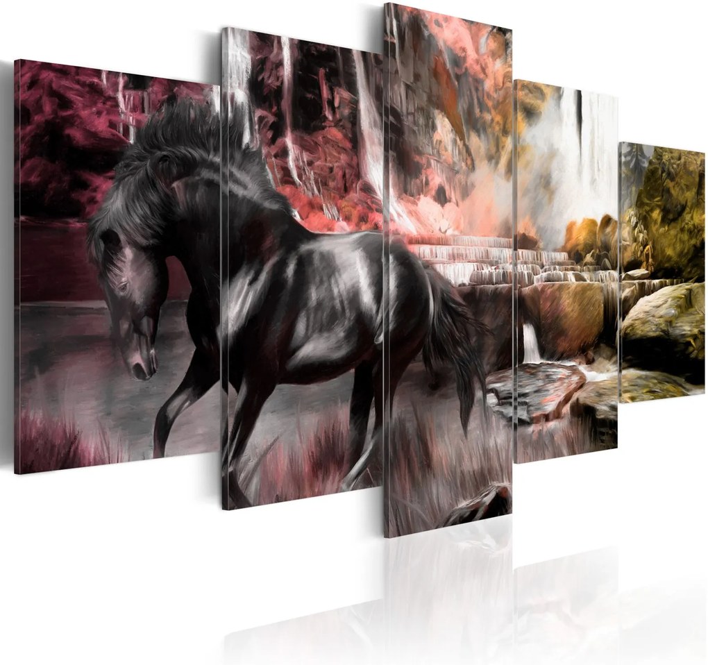 Obraz - Black horse on crimson sky background 100x50