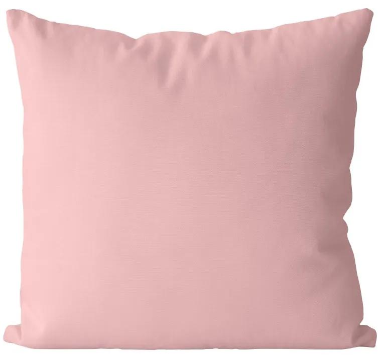 Polštář Růžový bledy (Velikost: 55 x 55 cm)