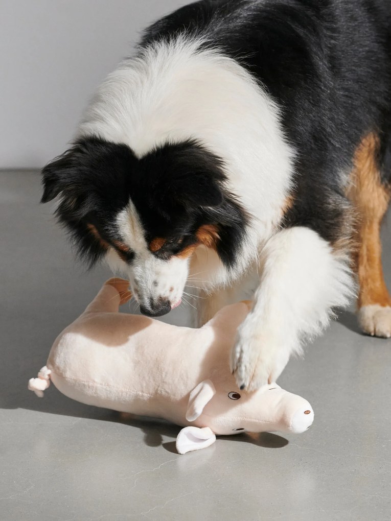 Sinsay - Hračka pro zvířata - pastelová růžová