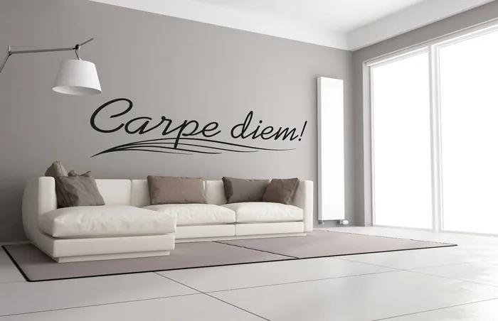Samolepka na zeď text Carpe Diem - 100 x 28 cm