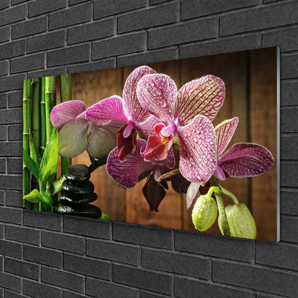 Obraz na skle Kvetiny Bambus Rostlina 120x60 cm