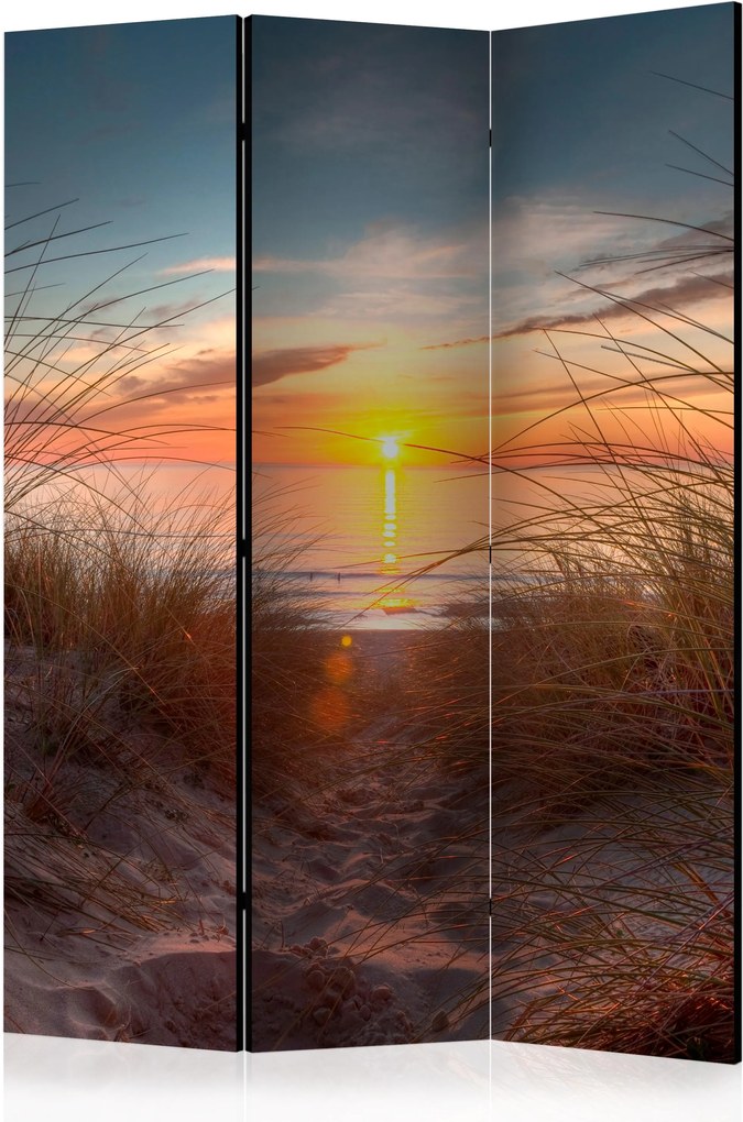 Artgeist Paraván - Sunset over the Atlantic Ocean [Room Dividers] 135x172