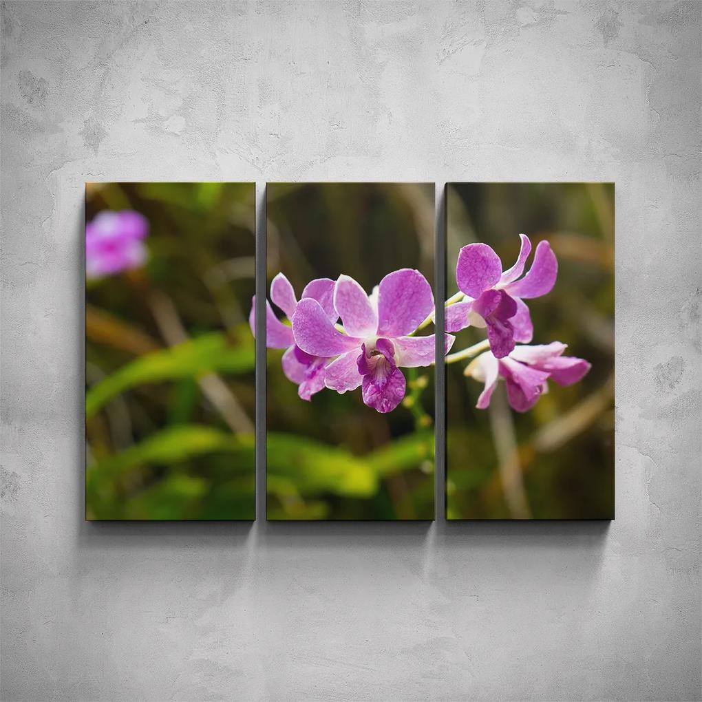 3-dílný obraz - Fialové květy - PopyDesign