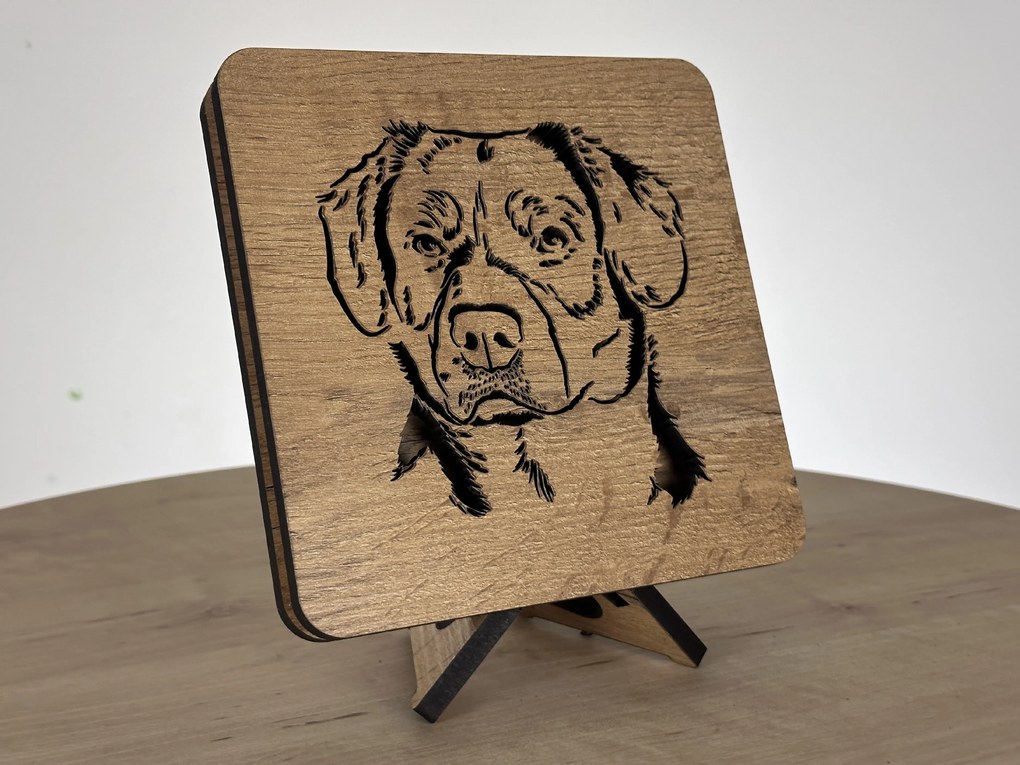 Li-Go "Rottwailer" lampa 19x19cm provedení povrchu: ořech