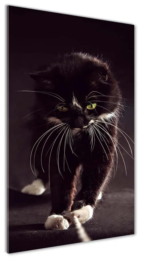 Wallmuralia Foto obraz sklo tvrzené Černá kočka 60x120 cm