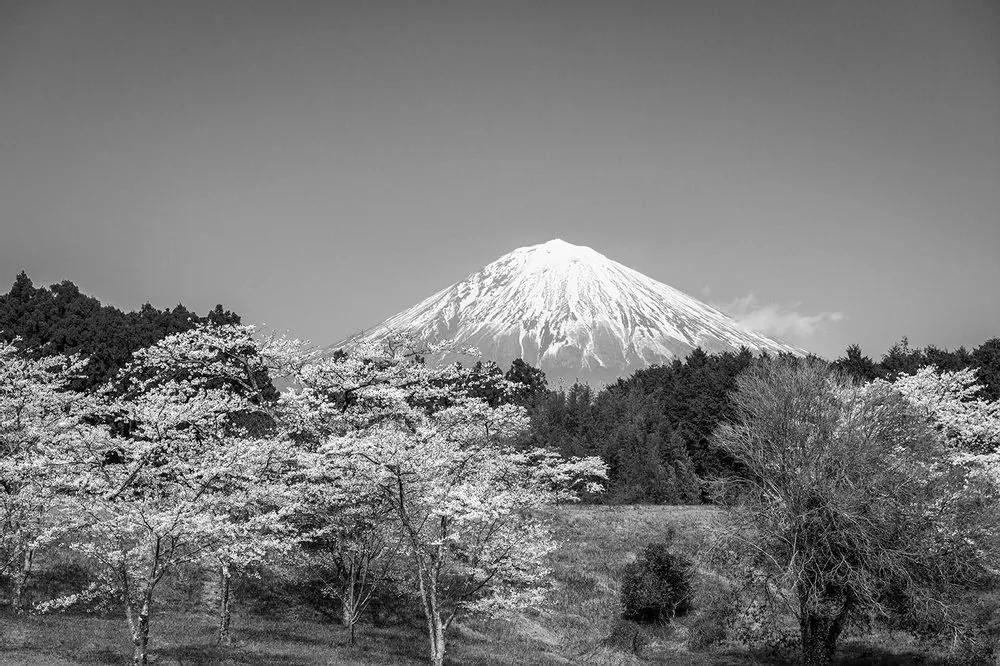 Samolepící fototapeta hora Fuji v černobílém - 150x100 cm