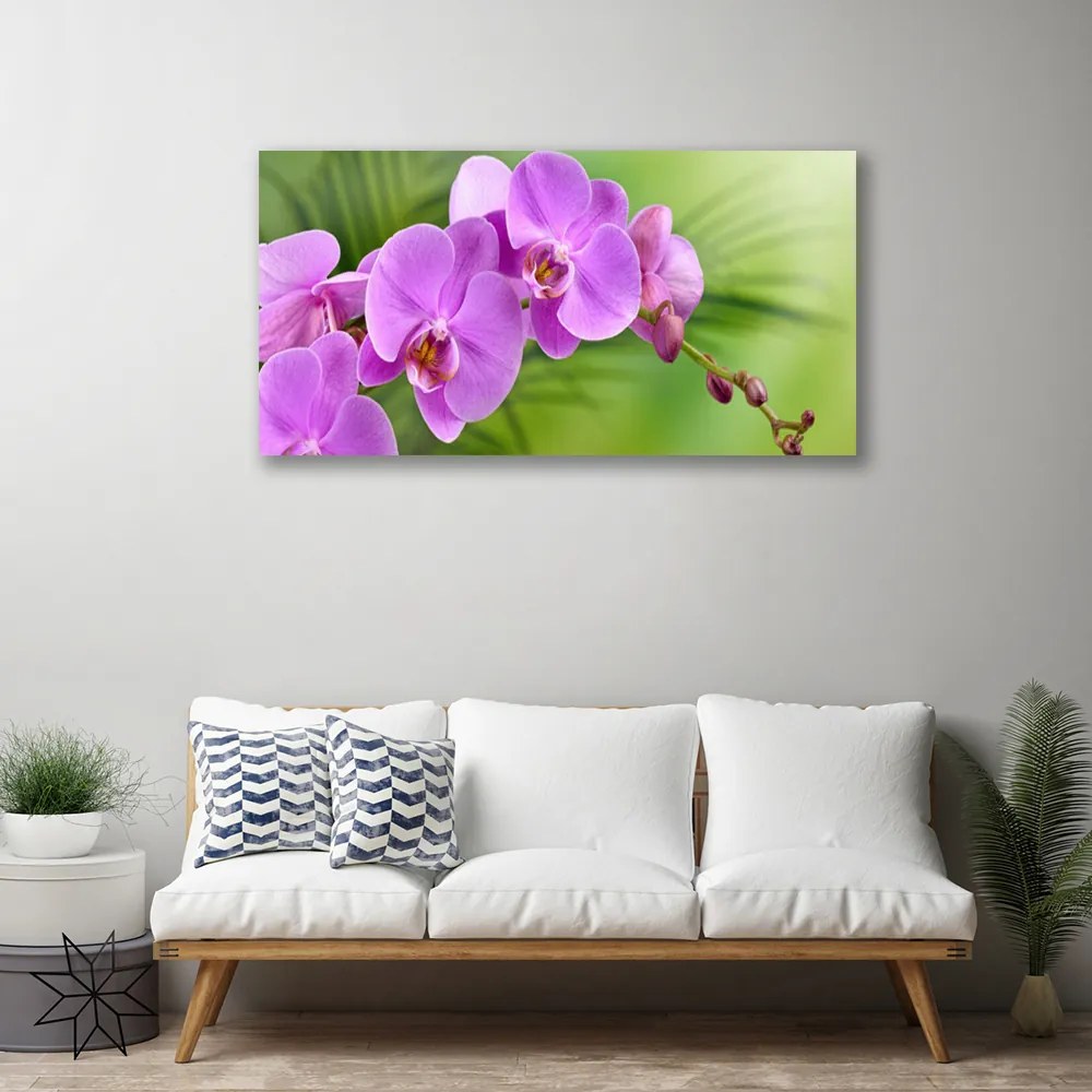 Obraz na plátně Vstavač Orchidej Květiny 100x50 cm