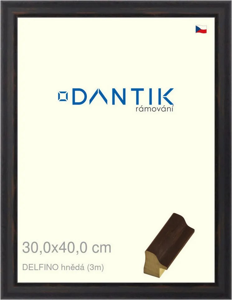 DANTIK rámeček 30x40 | DELFINO hnědá (Plexi Čiré)