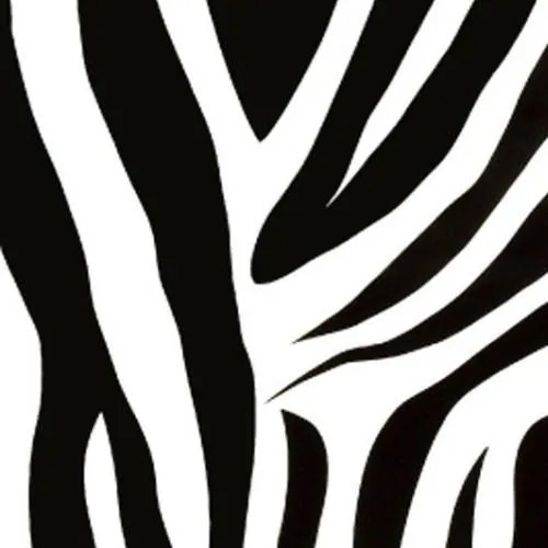 Samolepicí tapeta Zebra 15-6495
