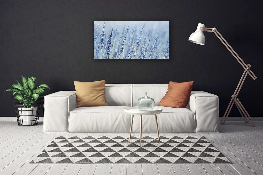 Obraz na plátně Květiny Klasy Louka Příroda 120x60 cm