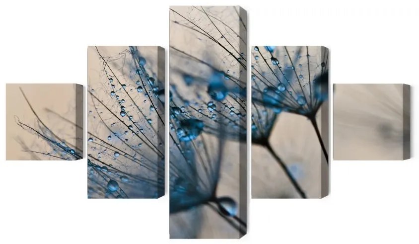 Vícedílný obraz Pampelišky S Kapkami Vody V Makro Měřítku Nedostatek Nedostatek Plátno Canvas 150x90
