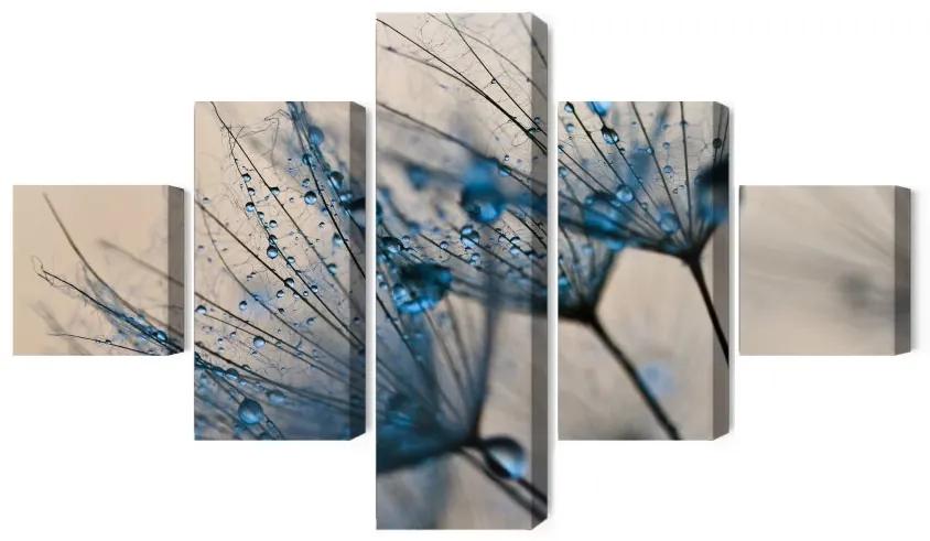 Vícedílný obraz Pampelišky S Kapkami Vody V Makro Měřítku Nedostatek Nedostatek Přírodní plátno 150x90
