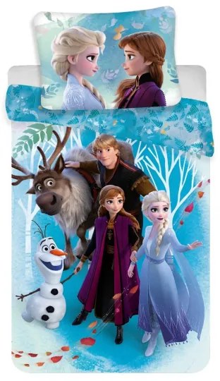 Jerry Fabrics Povlečení Frozen 2 family 140x200, 70x90 cm
