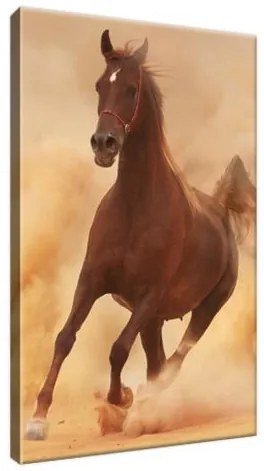 Tištěný obraz Cválající kůň 20x30cm 1145A_1S