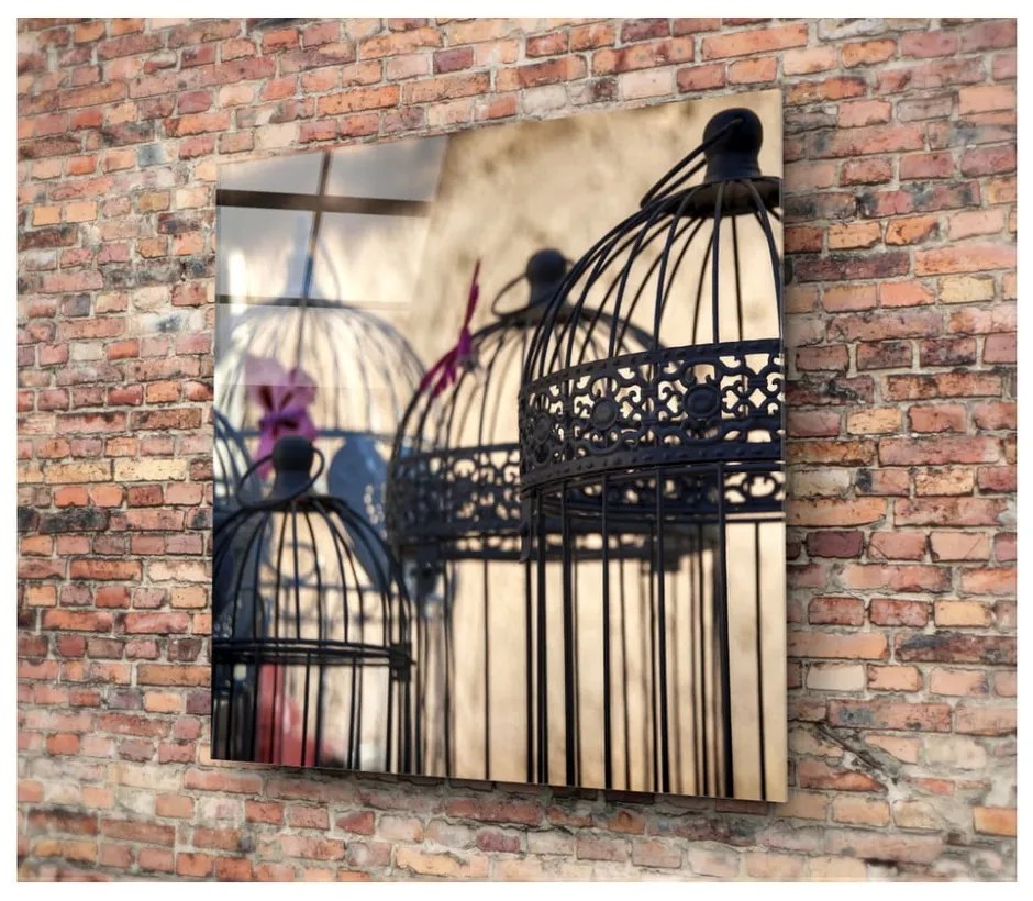 Skleněný obraz 3D Art Cages, 50 x 50 cm