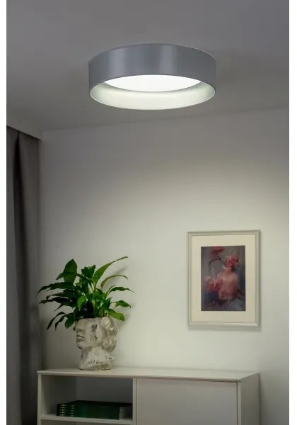 Duolla - LED Stropní svítidlo ROLLER LED/24W/230V pr. 45 cm stříbrná