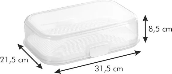 TESCOMA Dóza FreshZONE 30 x 20 cm