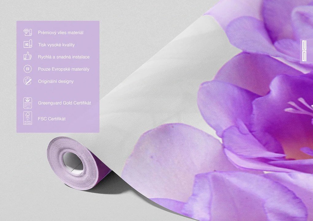 Fototapeta na míru Něžná Orchidej | Vliesová fototapeta na zed' | DFTNXXL2400