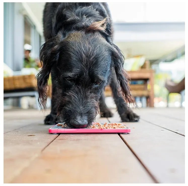 United Pets Lízací podložka pro psy LickiMat Buddy růžová