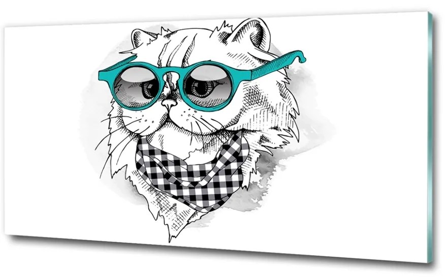 Wallmuralia Fotoobraz na skle Kočka v brýlích 100x50