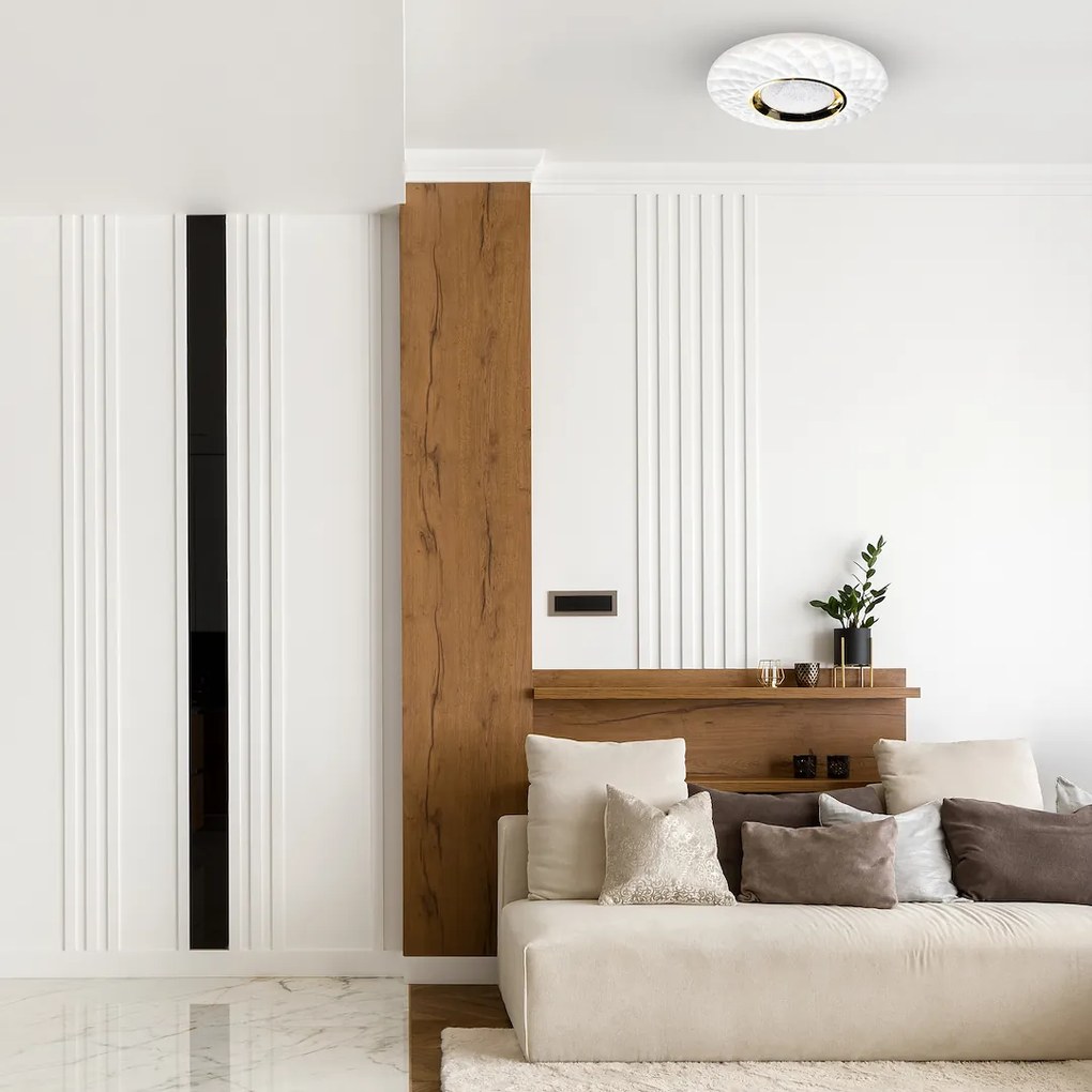 Stropní LED svítidlo Tokyo, 1x LED 24w, 3000-6000k, w/g, s ovladačem