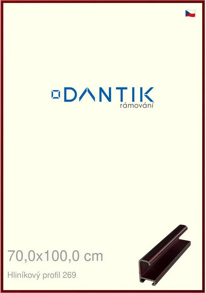 DANTIK rámeček 70x100 | ALU profil 7269 Červená Rubin broušená (Plexi Čiré)