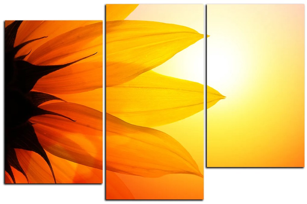 Obraz na plátně - Slunečnice květ 1201D (135x90 cm)