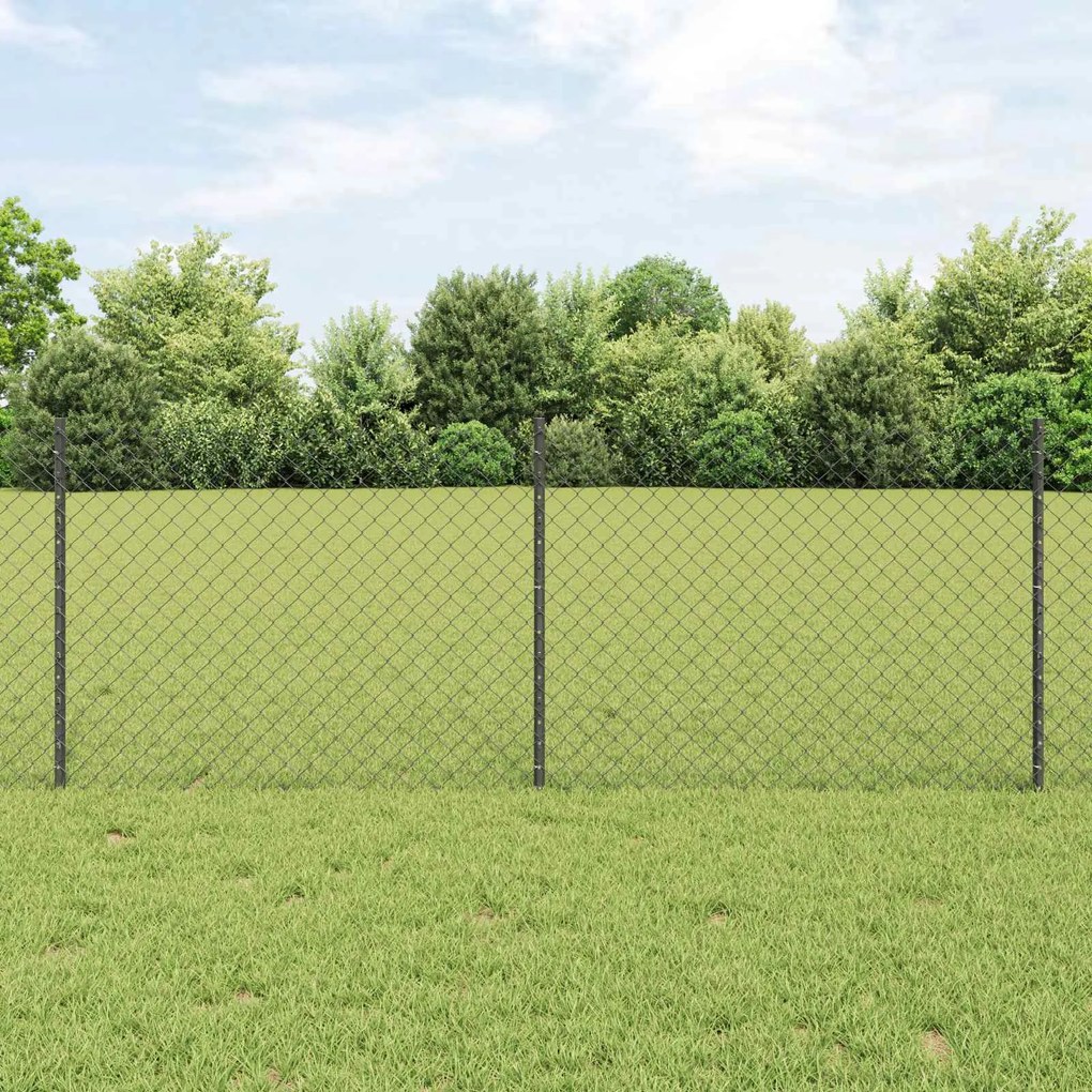 Plot s řetězovým odkazem a sloupkem 10 x 0,8 m Šedá Síťovina 3336259