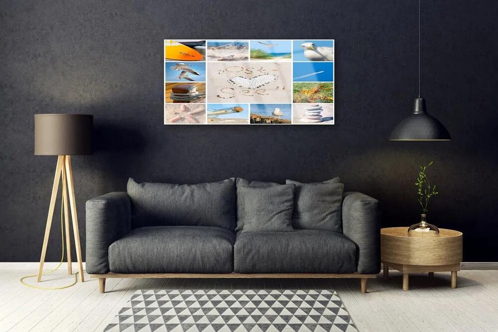 Obraz na skle Oceán Pláž Racci Krajina 100x50 cm