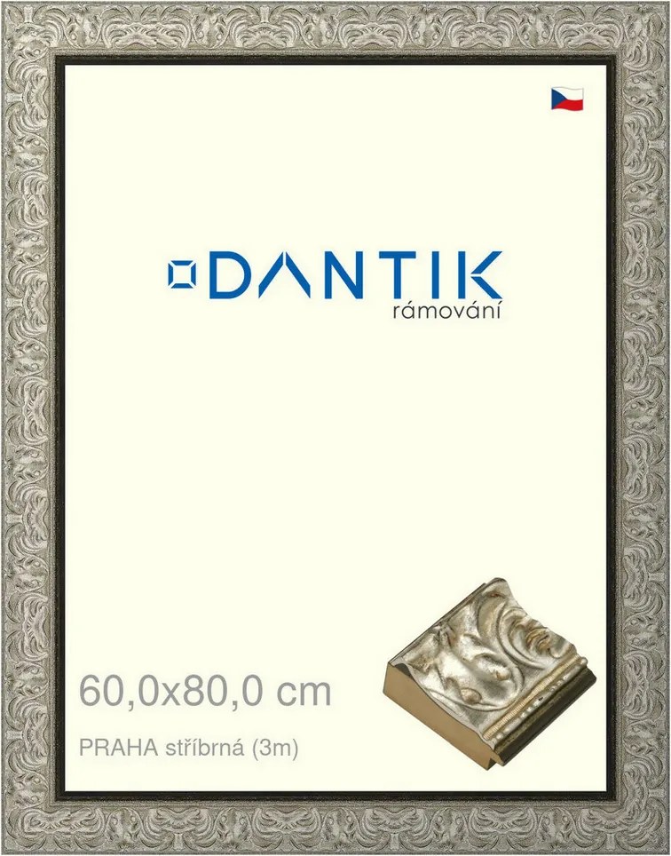 DANTIK rámeček 60x80 | PRAHA stříbrná (Plexi Čiré)