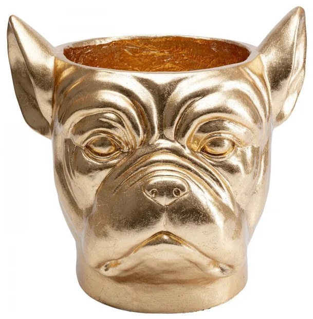 KARE DESIGN Dekorativní květináč Bulldog zlatý 37,5 × 33 × 34,5 cm