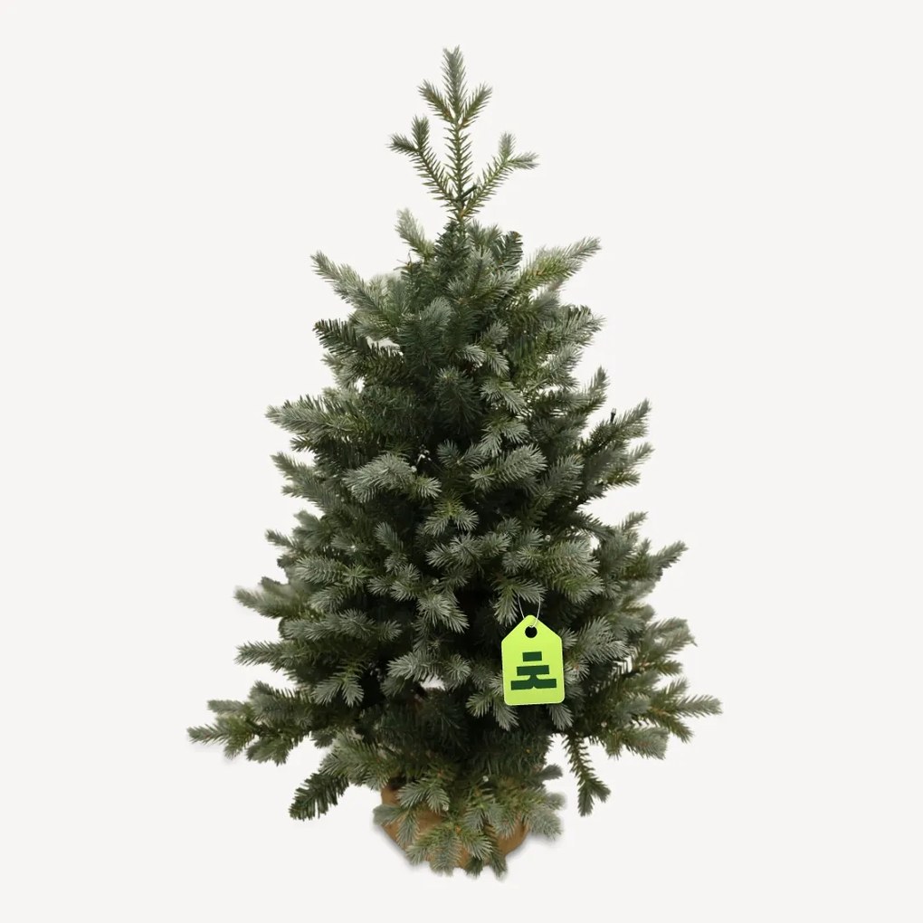 Smrk Modrý 100 LED 90 cm