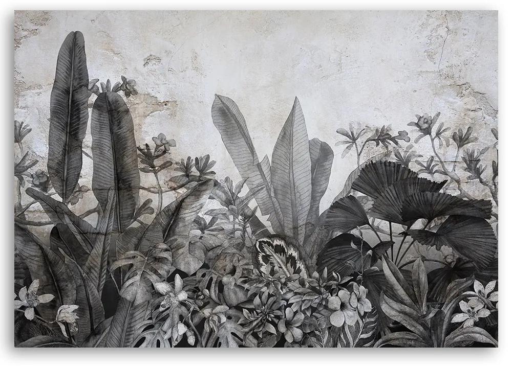 Obraz na plátně, Černé a bílé listy na pozadí betonu - 90x60 cm
