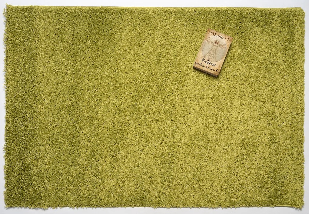 Mono Carpet, Kusový koberec Efor Shaggy 1903 Green, 160x230, zelená, ložnice