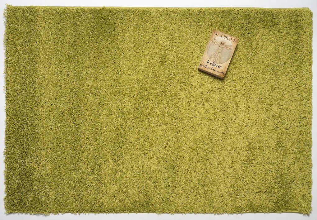 Mono Carpet Kusový koberec Efor Shaggy 1903 Green - 60x115 cm