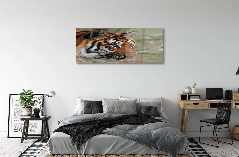 akrylový obraz Tiger Woods 120x60 cm