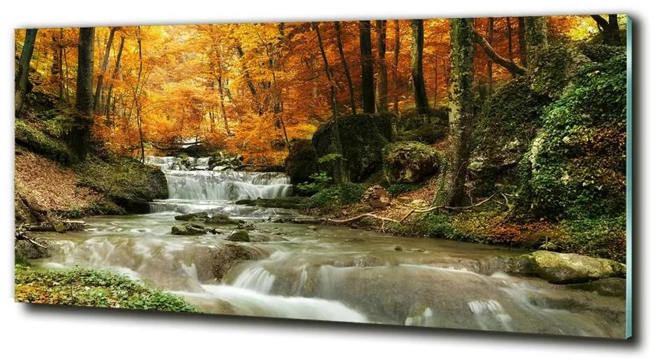Wallmuralia Foto obraz fotografie na skle Vodopád v lese 125x50 cm
