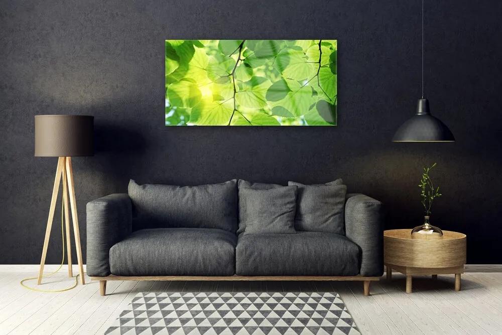 Obraz na skle Listy Příroda Rostlina 125x50 cm